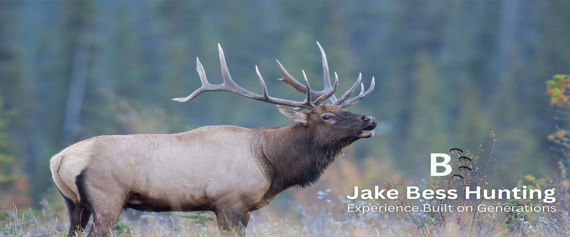 Utah Elk Hunting | Jake Bess Hunting